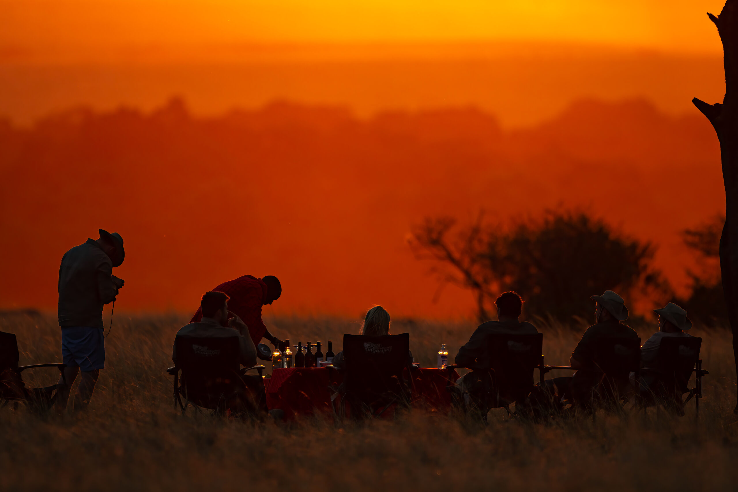 WildEx Safari Fixers - A Boutique Safari Company & A Fixer in East Africa